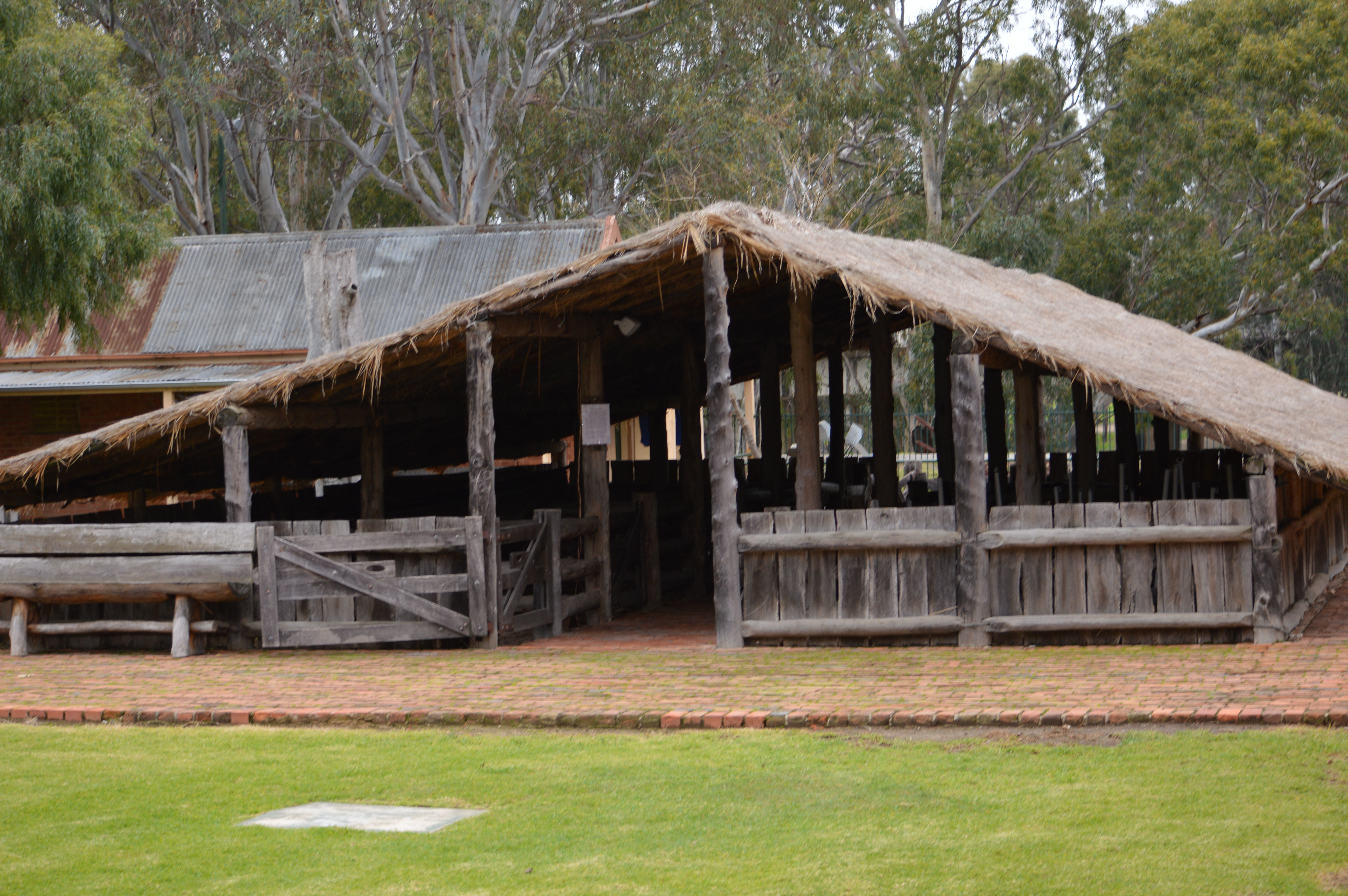 Peppin Heritage Centre - MGNSW