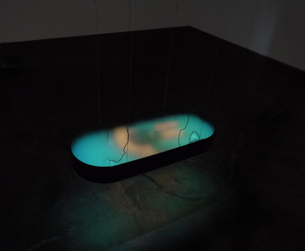 The Art of Installation - MGNSW