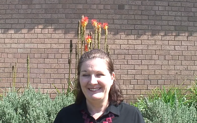 Interview – Jenny Cheeseman, Director, Peacock Gallery and Auburn Arts ...