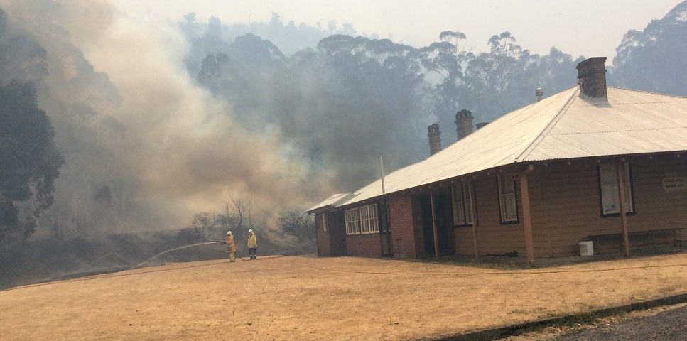 Bushfires, a shared experience - MGNSW