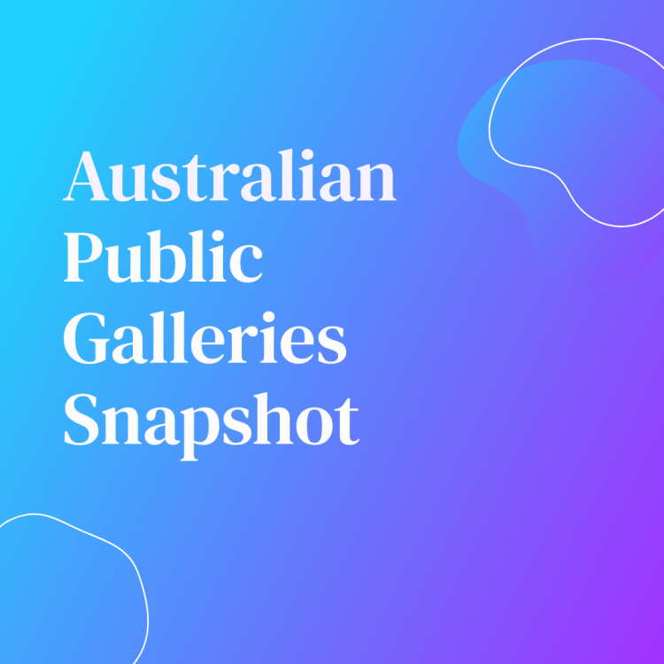 Australian Public Galleries Snapshot - MGNSW