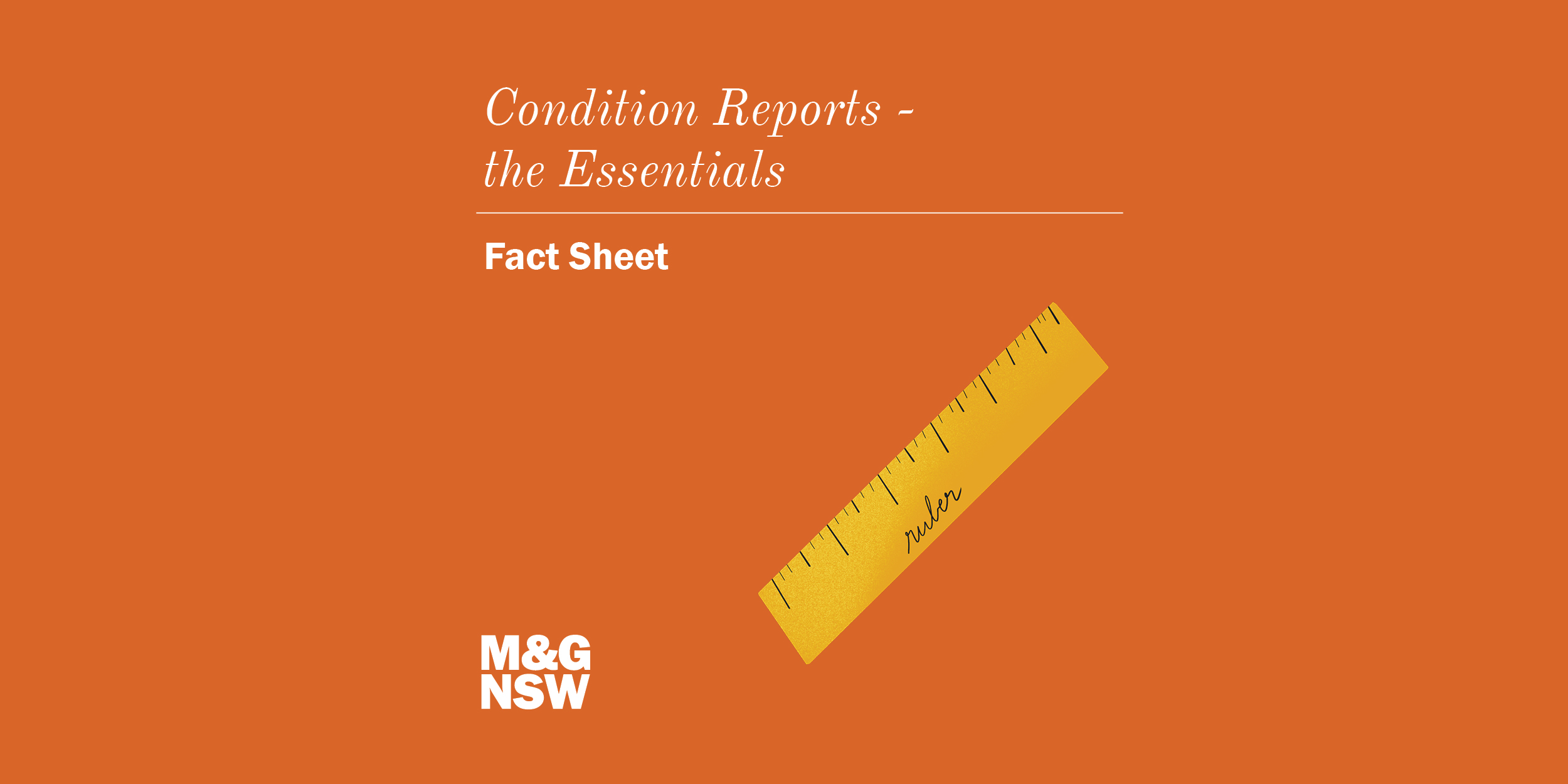 Condition Reports – the Essentials - MGNSW