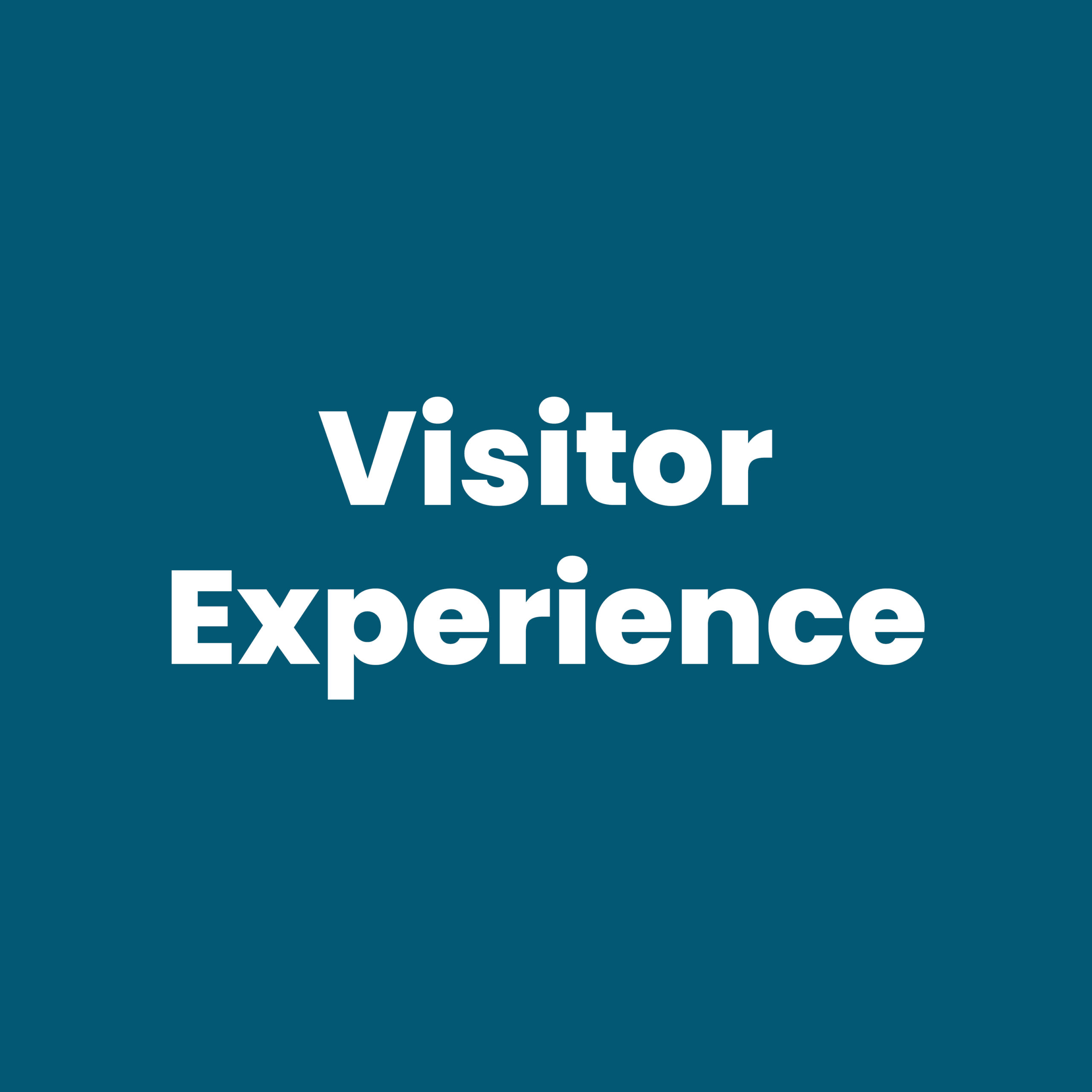 Visitor experience - MGNSW